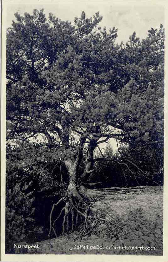 Nunspeet.Net - Remembering the Old Days